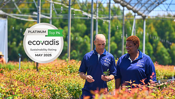 EcoVadis ranks Mondi among top 1% of companies worldwide for ninth year ...